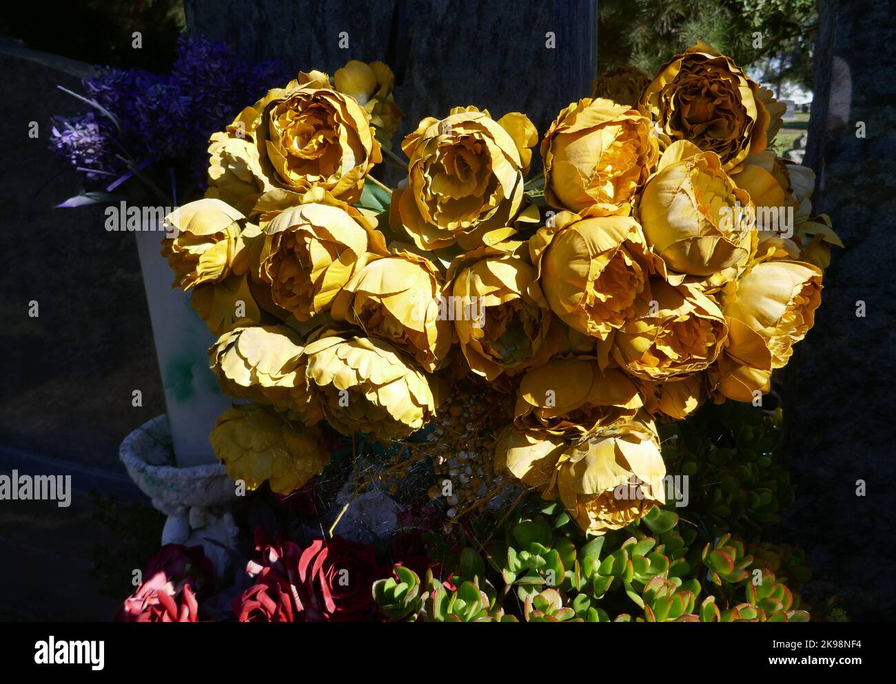 Los Angeles, California, USA 25th October 2022 A general view of ...
