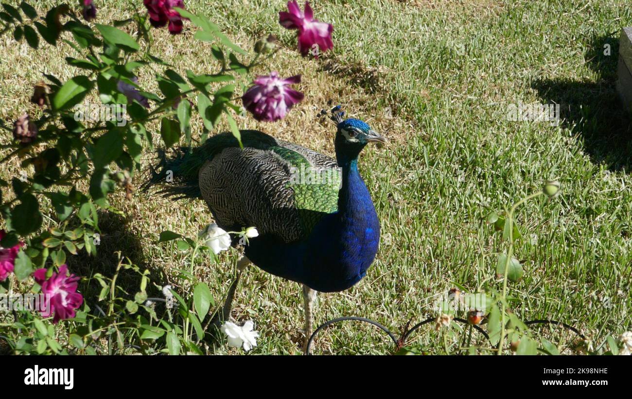 Los Angeles, California, USA 25th October 2022 A general view of ...
