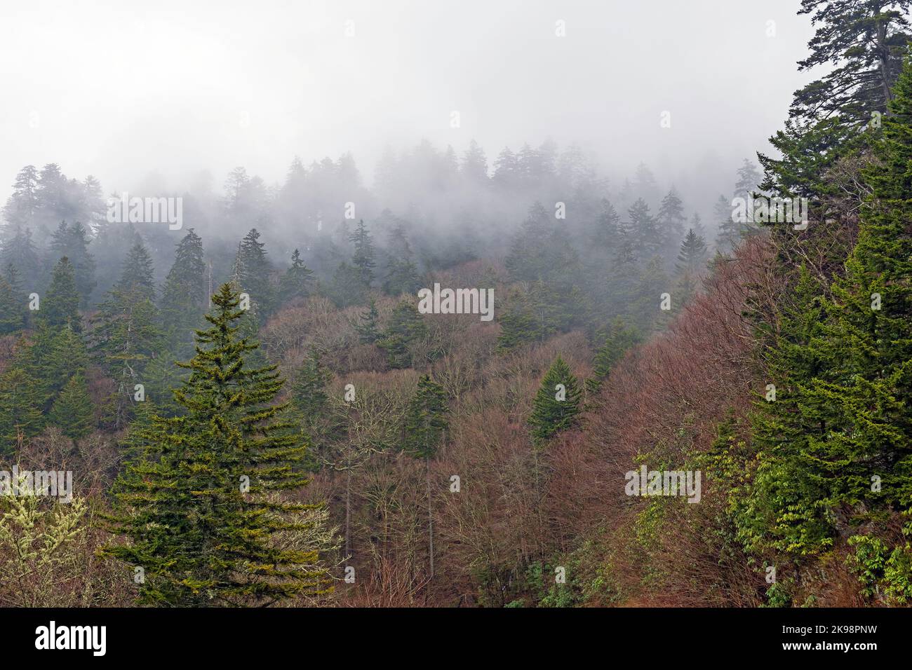 Fog and Mist in the Smoky Mountains in North Carolina Stock Photo - Alamy