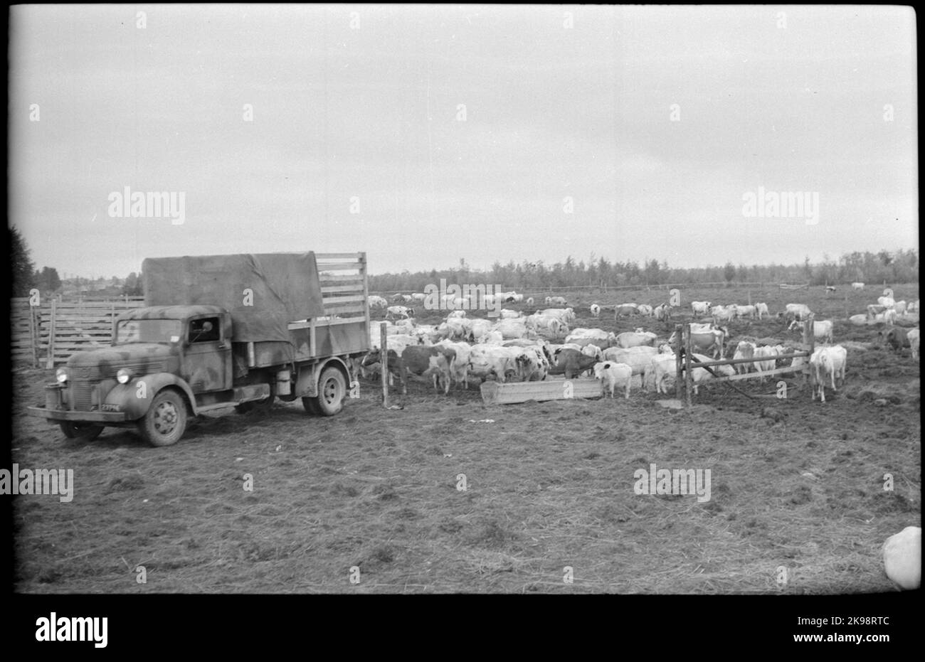 Evacuation of Finnish refugees, autumn 1944 Stock Photo - Alamy