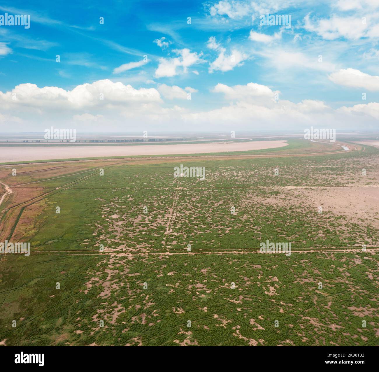 Splendid aerial photography of green wavy field Stock Photo - Alamy