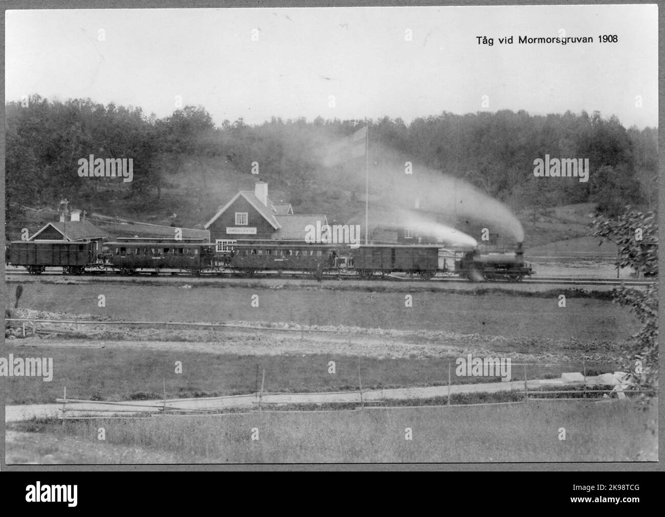 Train at Grandma Mine station. State Railways, SJ PA 165 "Edda". The ...
