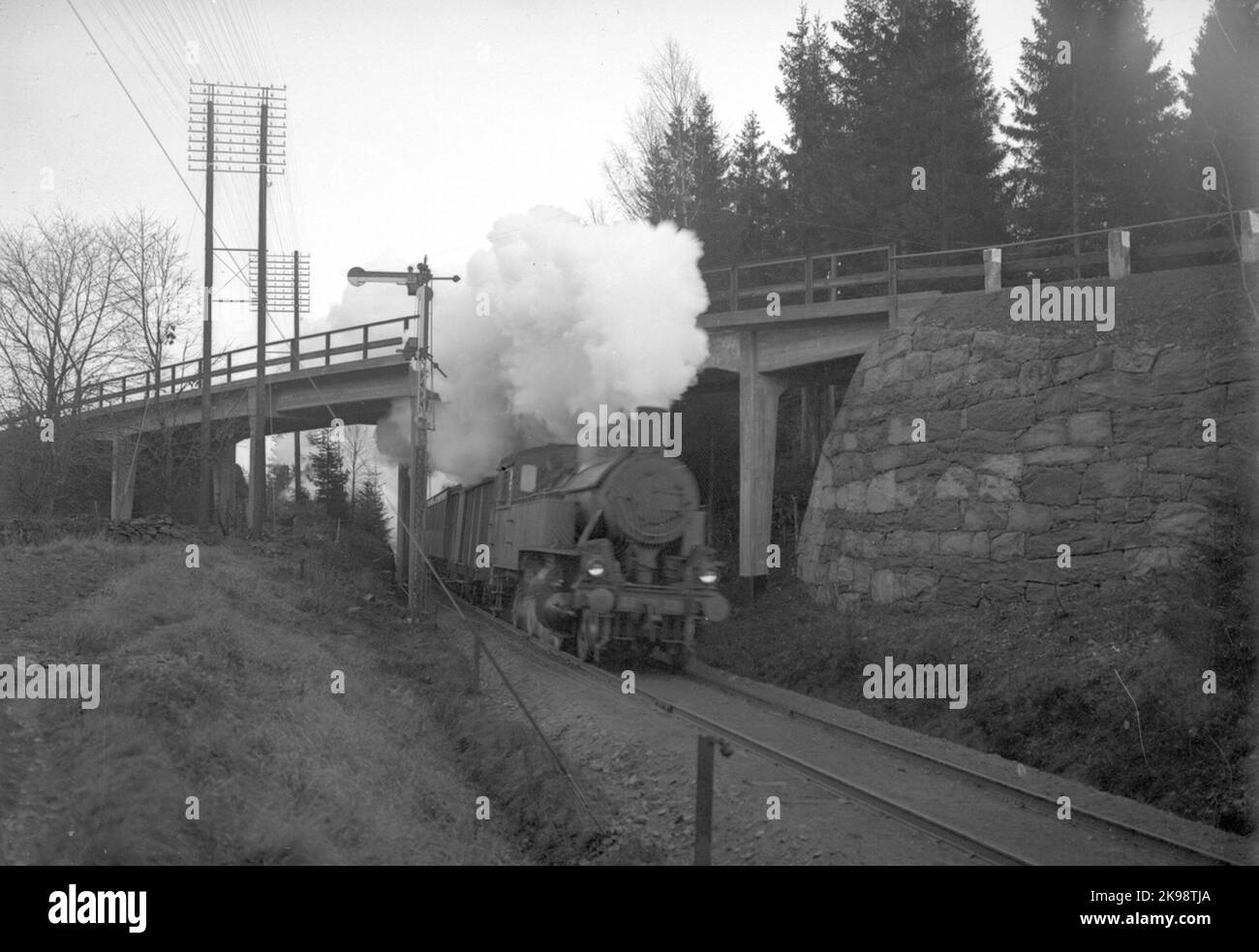 GBJ LOK 22 with passenger train under the viaduct Stock Photo - Alamy