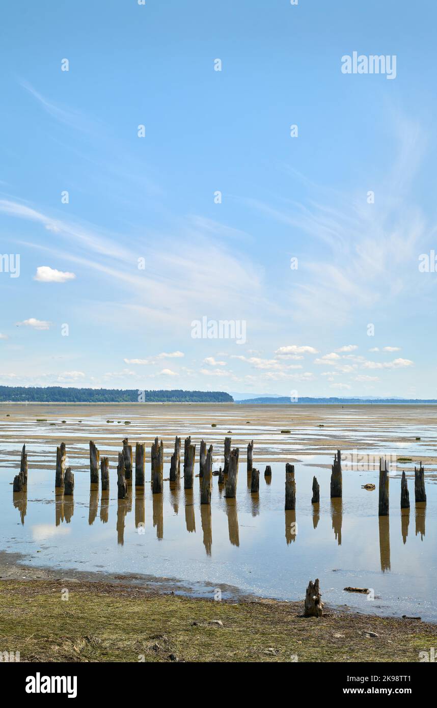 Boundary Bay Regional Park Salish Sea. The view out to the Salish Sea ...