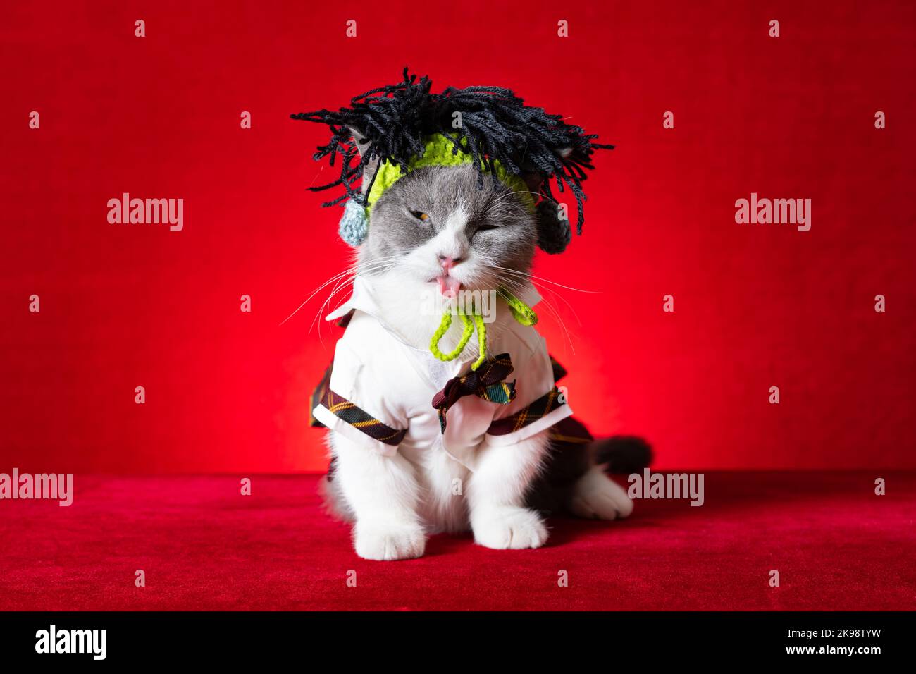 Cat red wig hi-res stock photography and images - Alamy