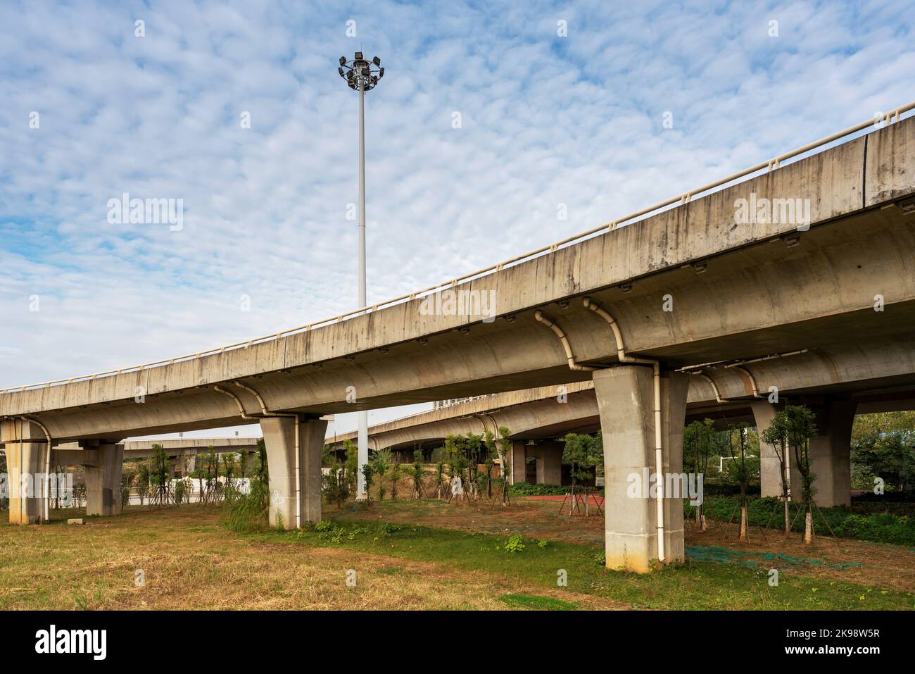 Grass under the overpass,Freeway, overpass and junction with green ...
