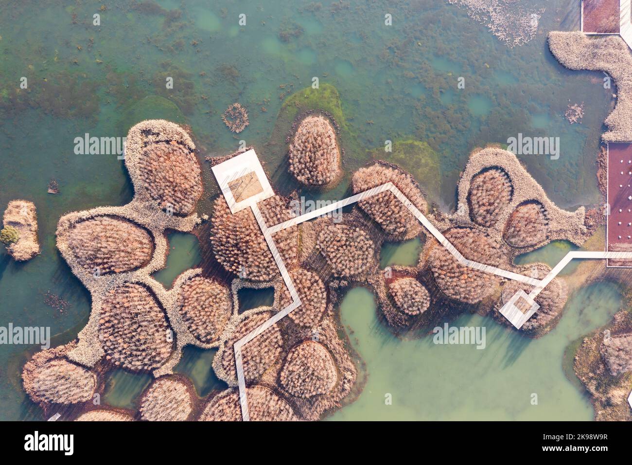 Aerial view, forests and lakes Stock Photo - Alamy