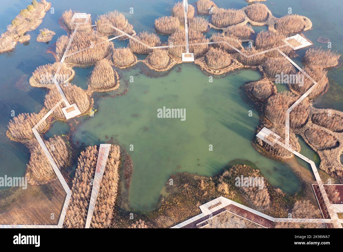 Aerial view, forests and lakes Stock Photo - Alamy