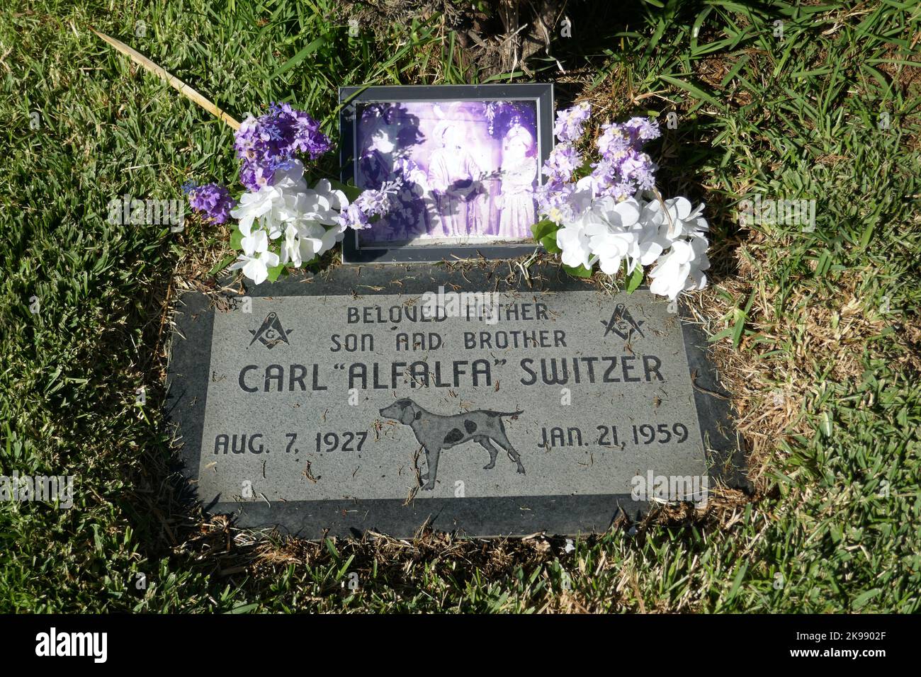 Alfalfa From Little Rascals 2022