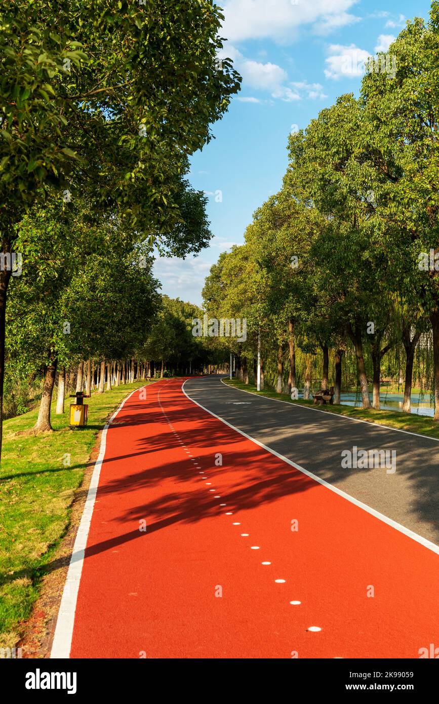New pathway and beautiful trees track for running or walking and ...