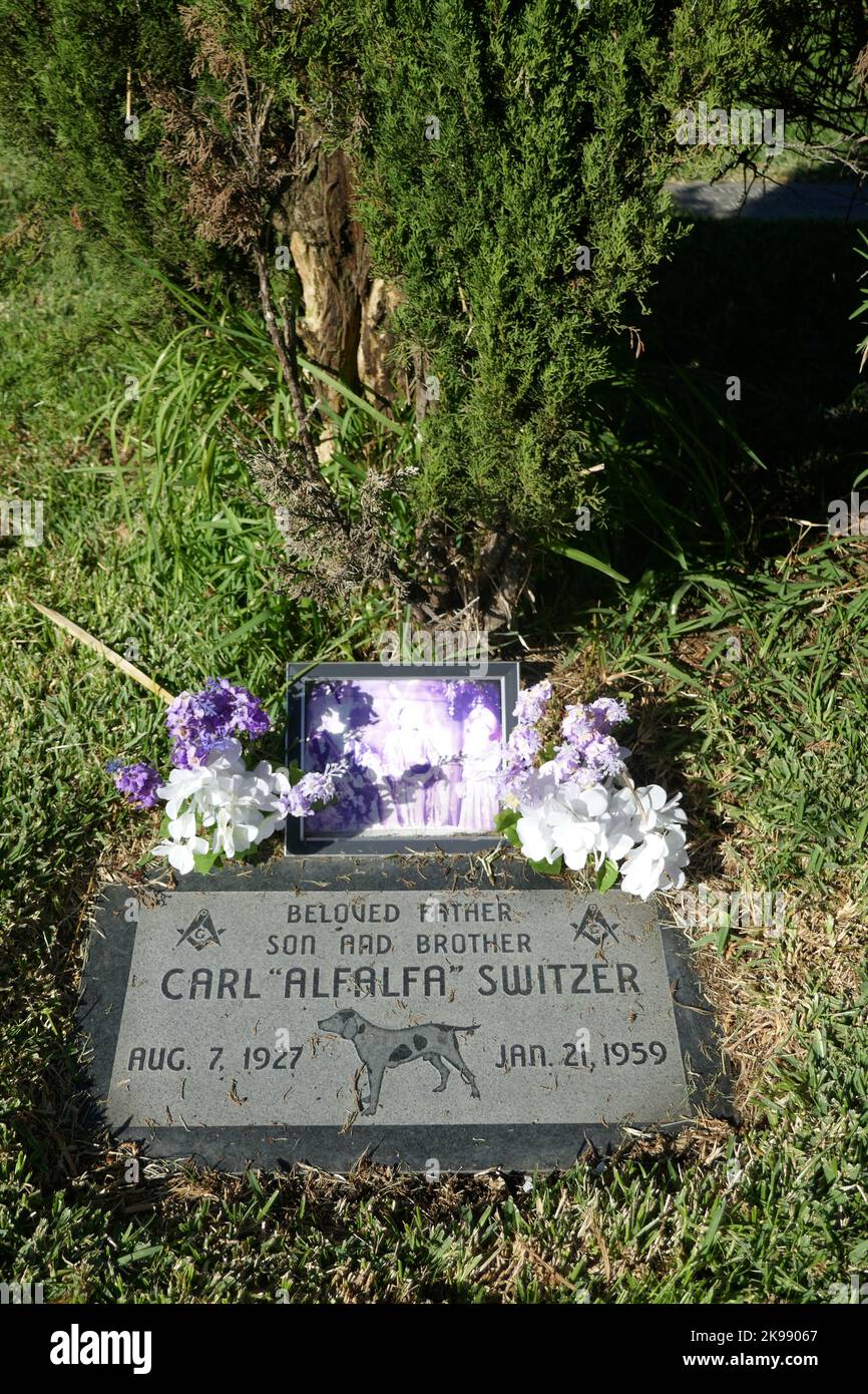 Alfalfa From Little Rascals 2022