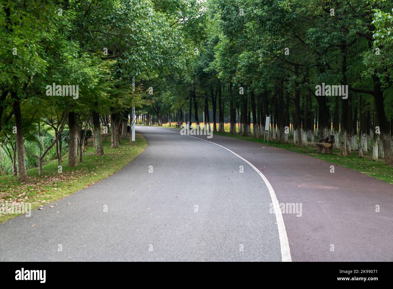 New pathway and beautiful trees track for running or walking and ...