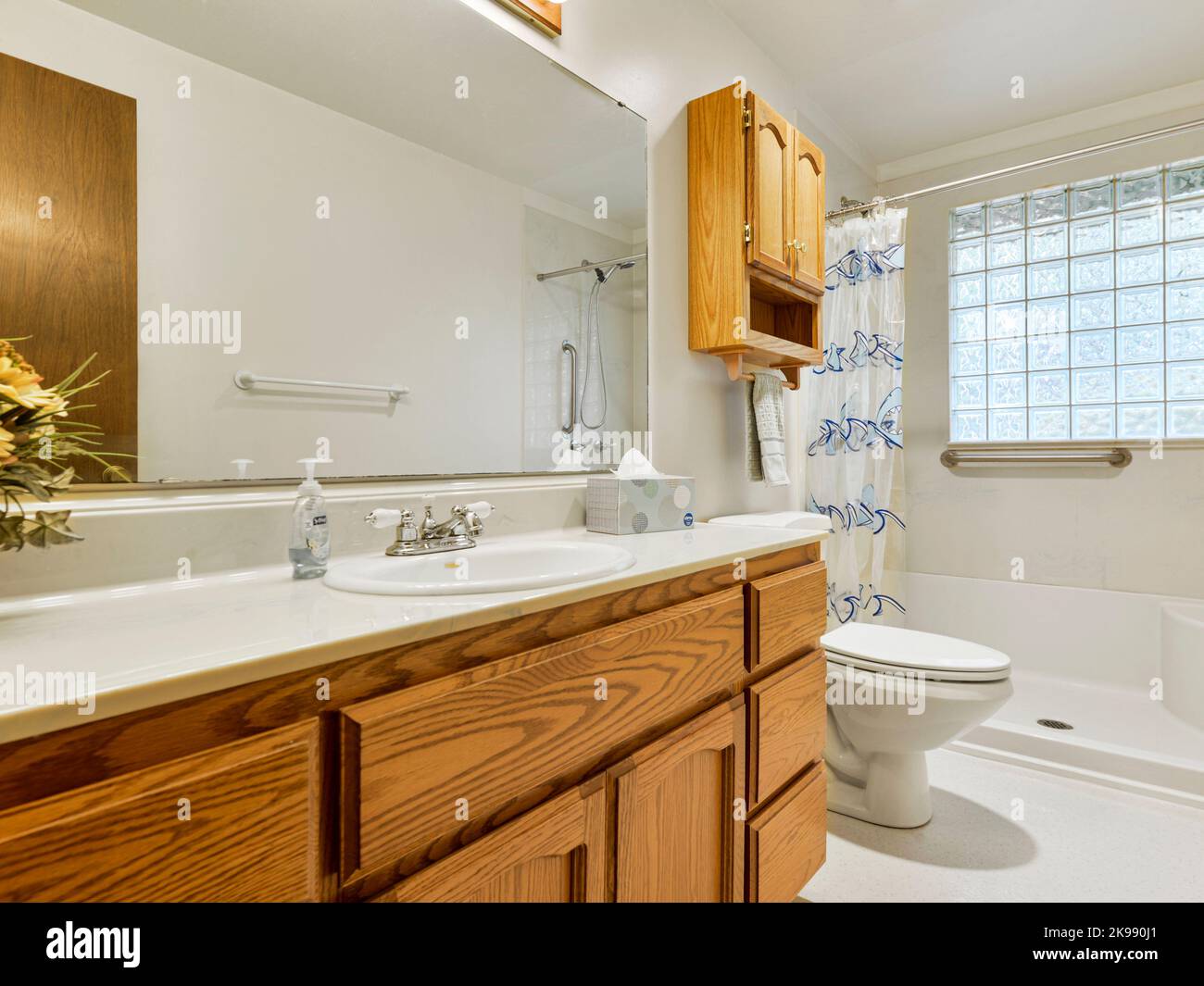 Modern residential bathroom interior Stock Photo - Alamy