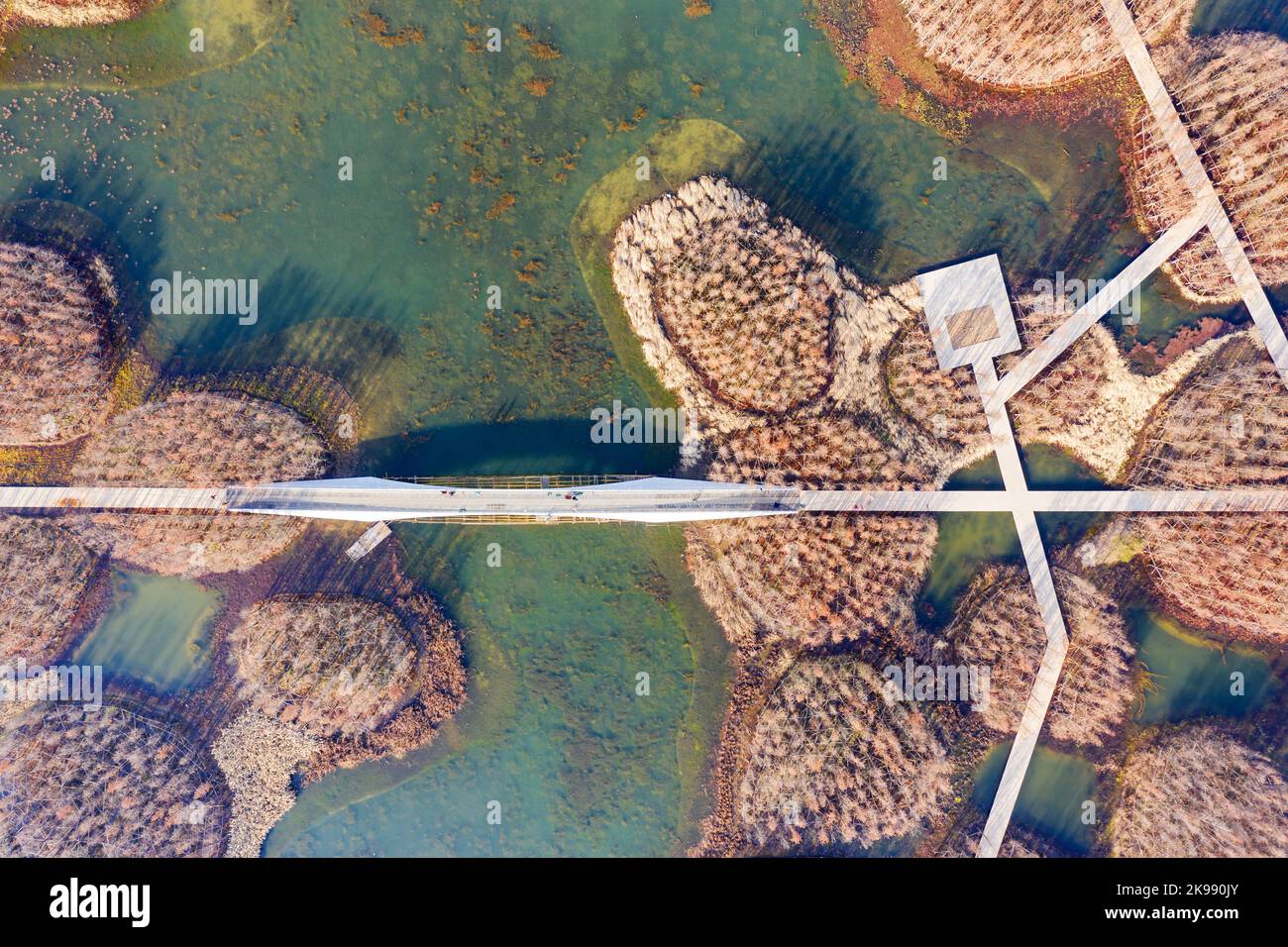 Aerial view, forests and lakes Stock Photo - Alamy