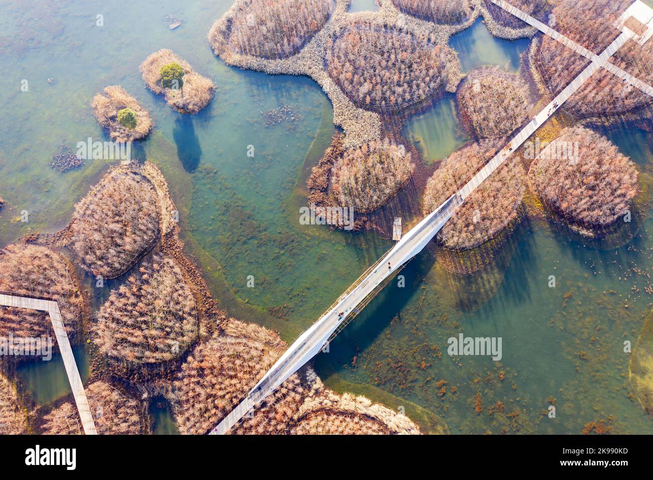 Aerial view, forests and lakes Stock Photo - Alamy