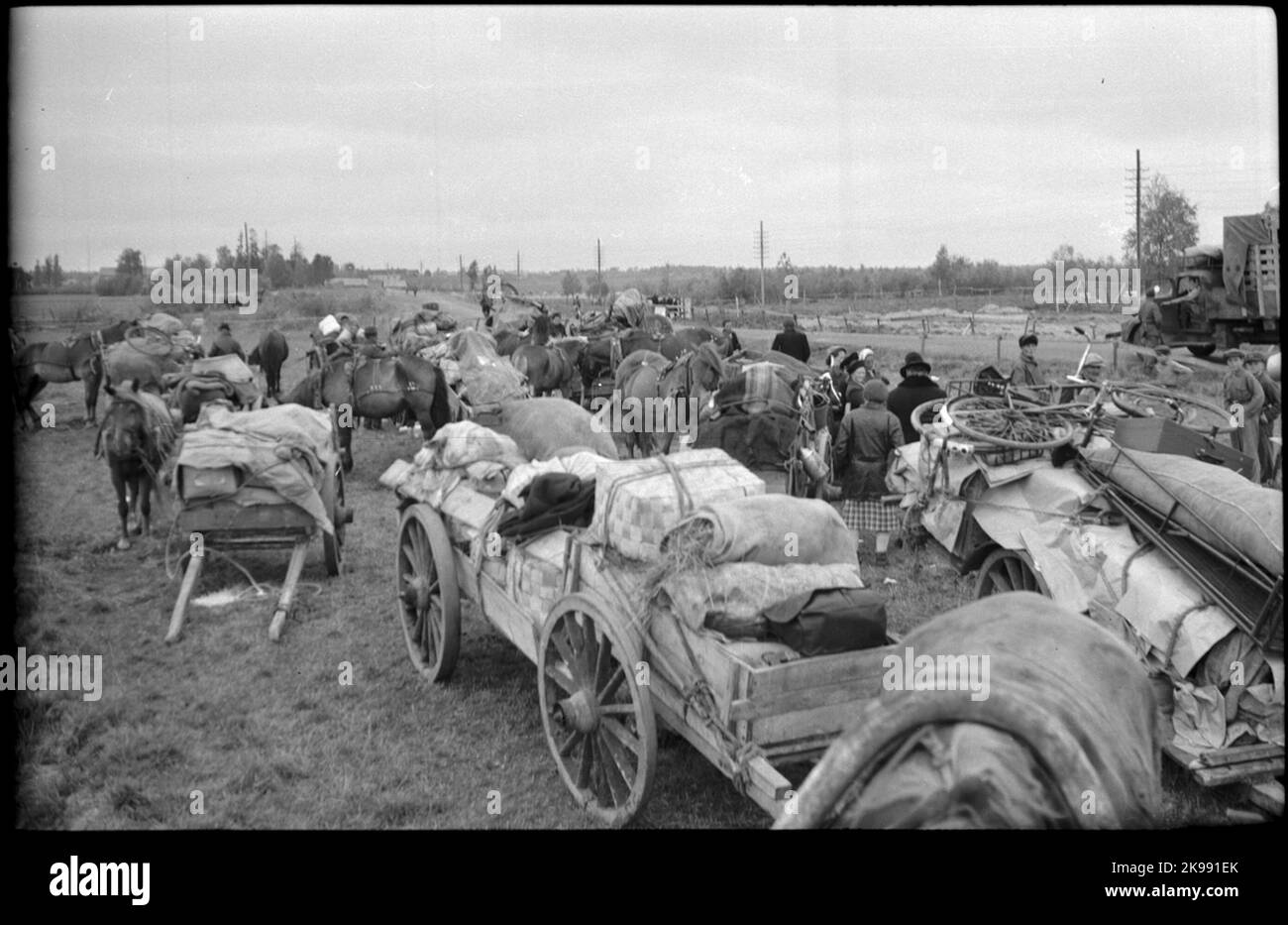 Evacuation of Finnish refugees, autumn 1944 Stock Photo - Alamy