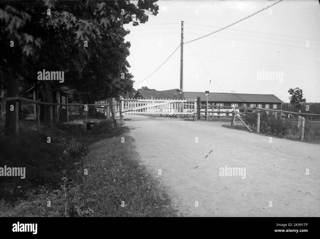 Road crossing with gate Stock Photo - Alamy