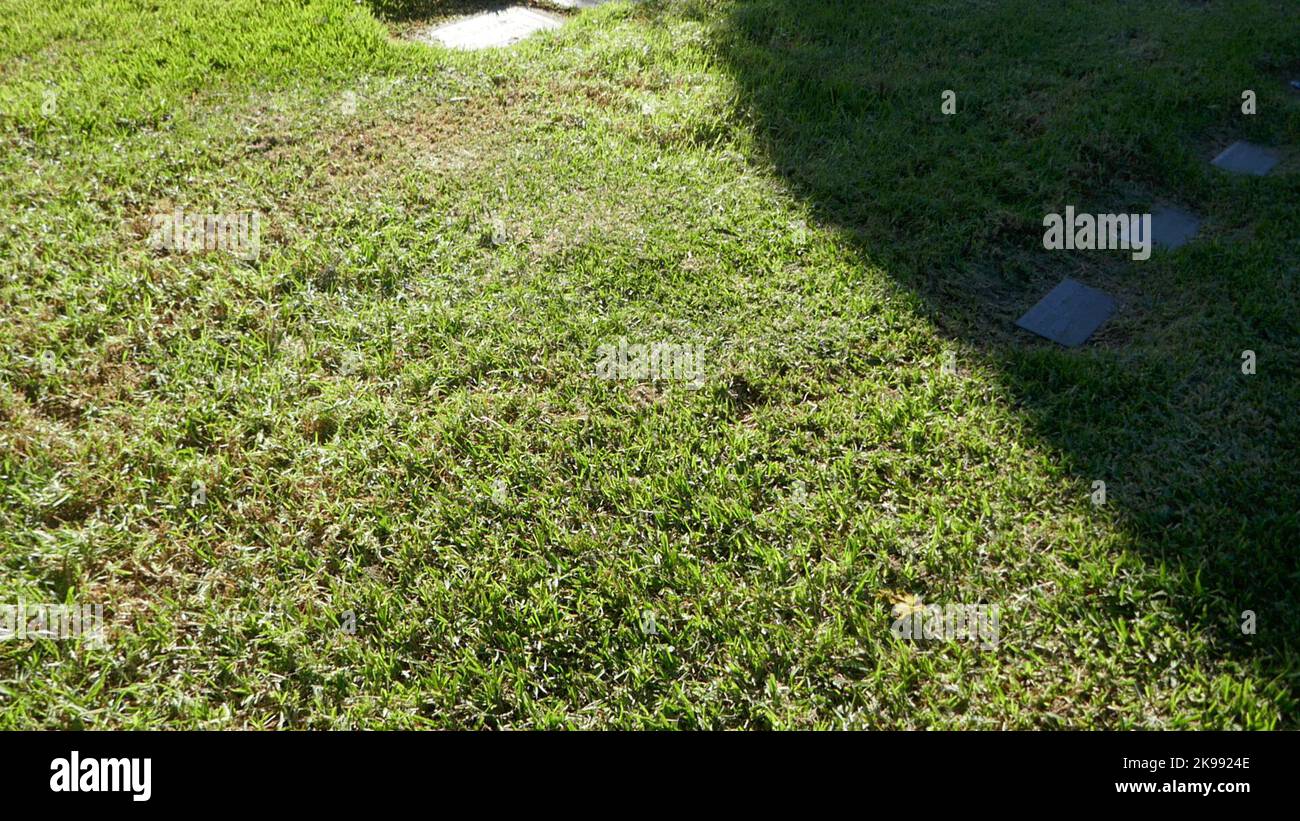 Los Angeles, California, USA 25th October 2022 A general view of ...