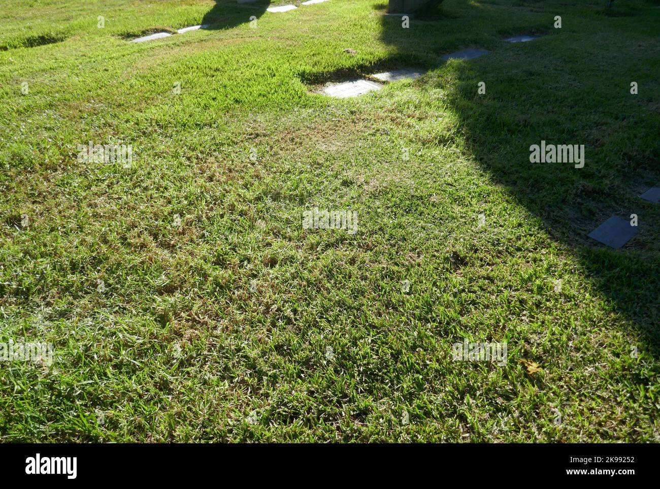 Los Angeles, California, USA 25th October 2022 A general view of ...