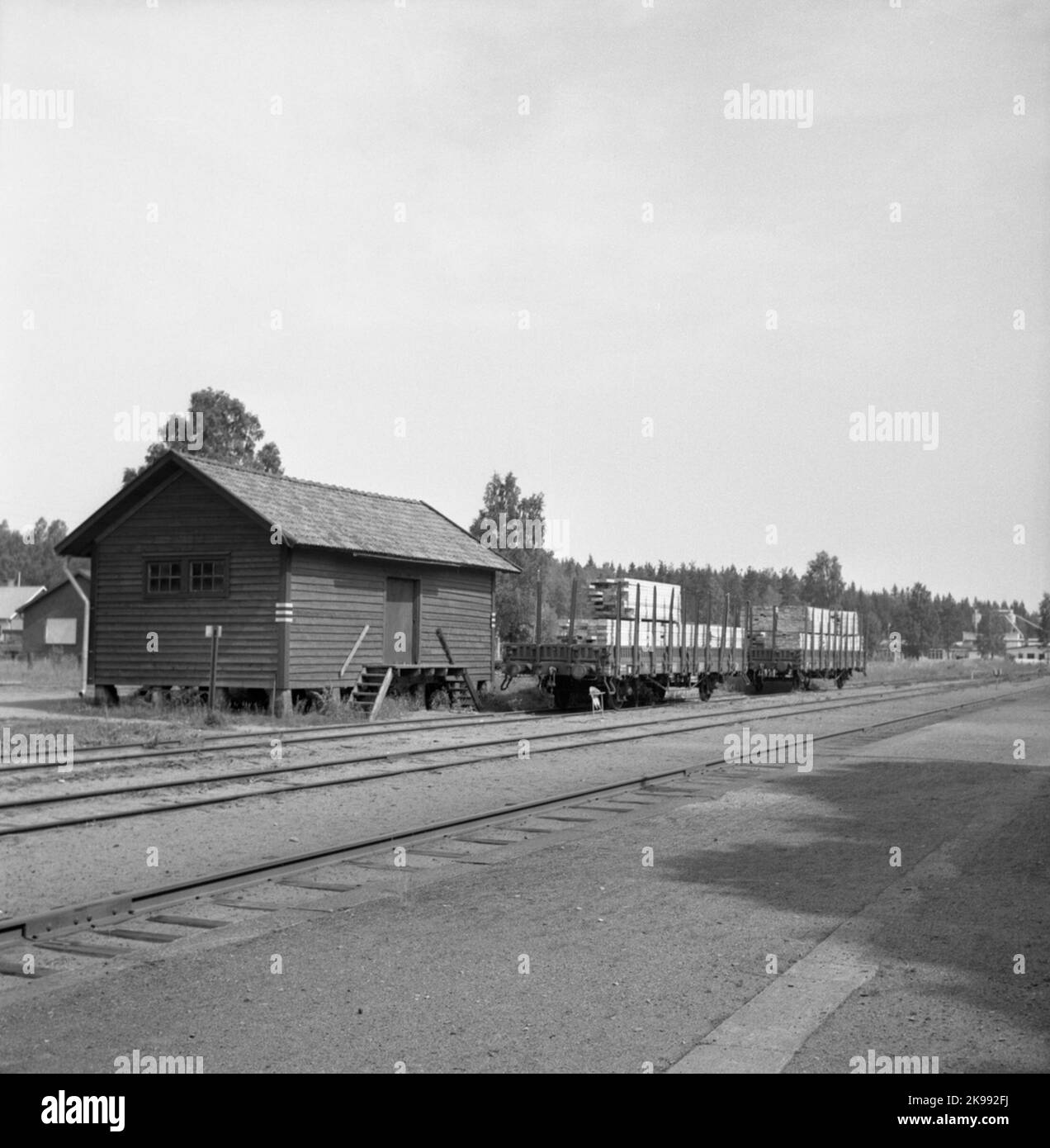 Freight magazine, two wagons loaded with sawn timber Stock Photo - Alamy