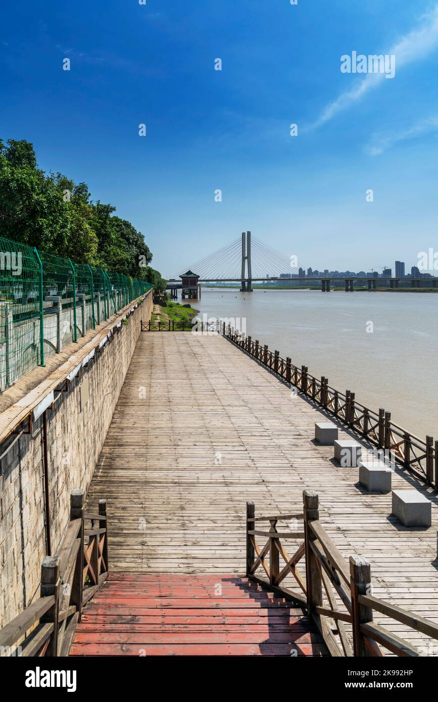 yangtze river cable stayed bridge Stock Photo - Alamy