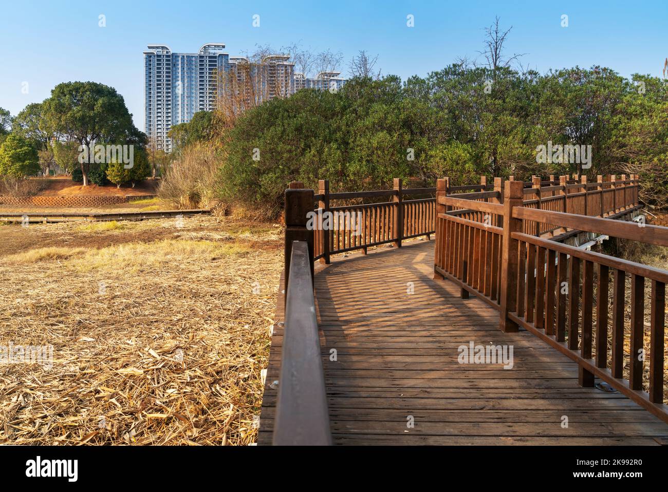 Wooden bridge over little river in city park Stock Photo - Alamy