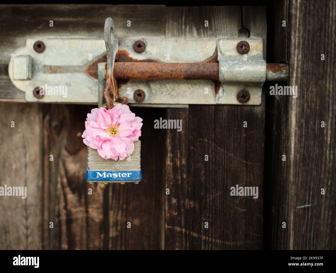 Cute desktop wallpaper hi-res stock photography and images - Alamy