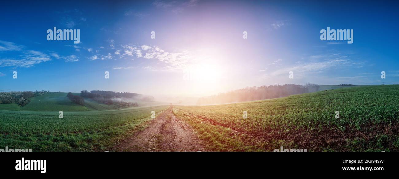 Sun rising over green grass hi-res stock photography and images - Alamy
