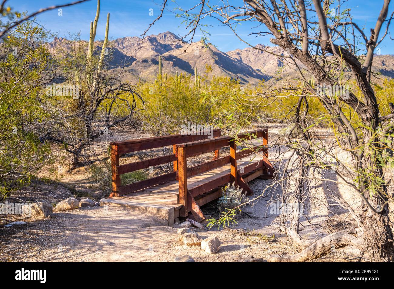Hiking sabino canyon arizona hi-res stock photography and images - Alamy