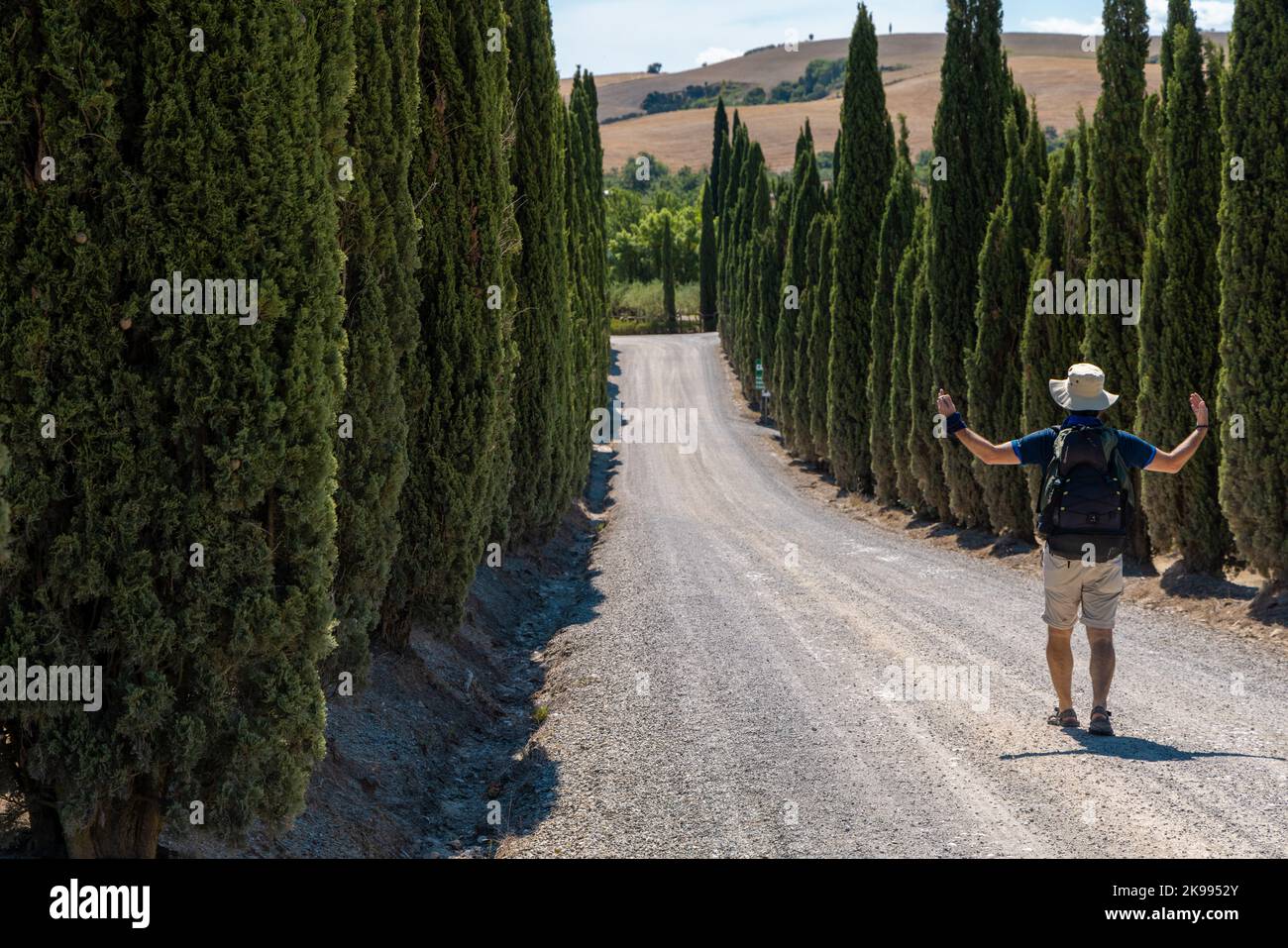 Man walking along via Francigena mud road with cypress trees on the ...