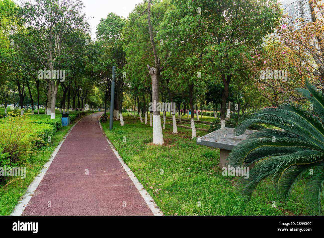 The road of City Park in China Stock Photo - Alamy