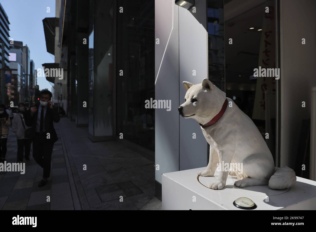 Softbanks mascot dog hi-res stock photography and images - Alamy