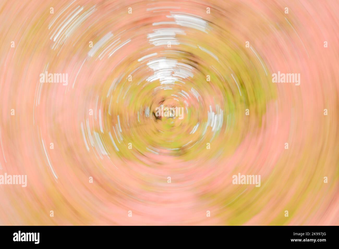 Spinning pattern of natural fall colors in pink and green circles with ...