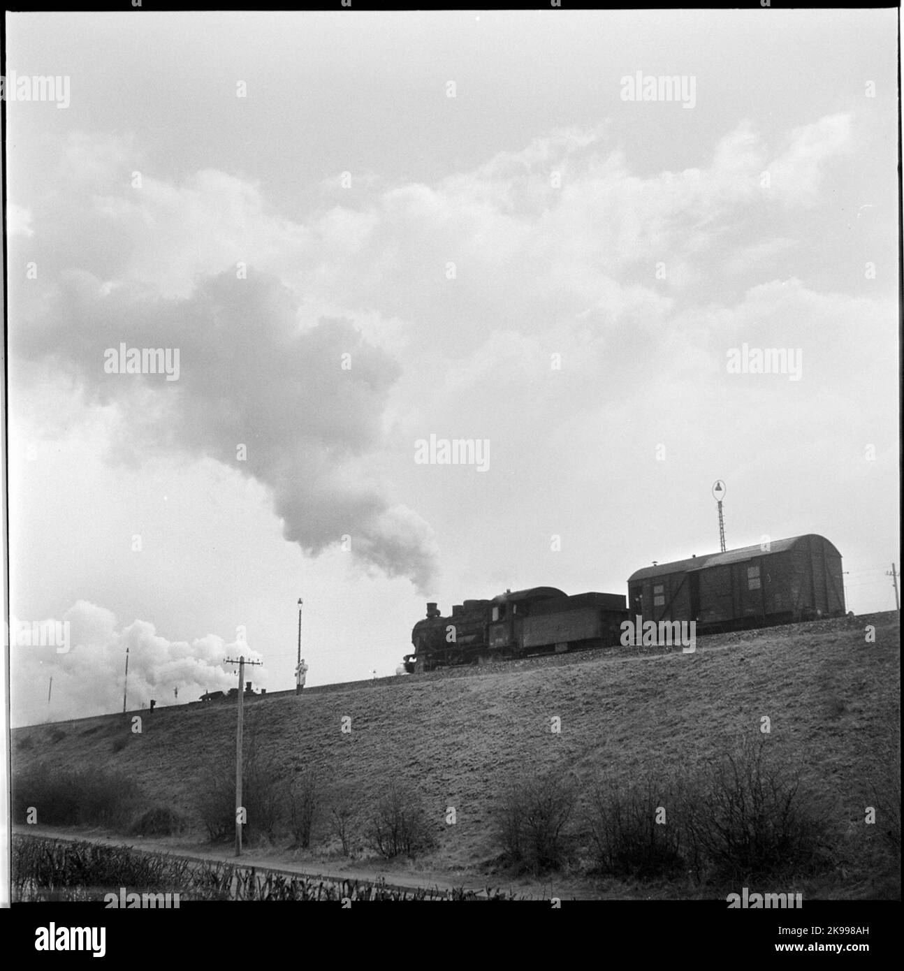 Steam locomotive with freight wagon Stock Photo - Alamy
