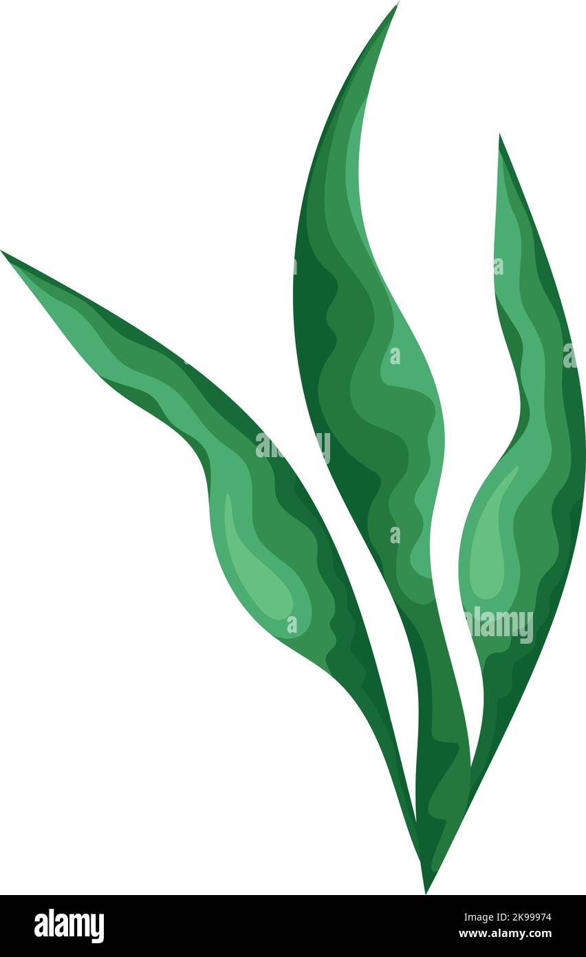 plant garden nature Stock Vector Image & Art - Alamy