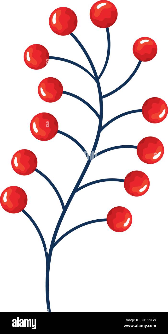 branch with reed beans Stock Vector Image & Art - Alamy