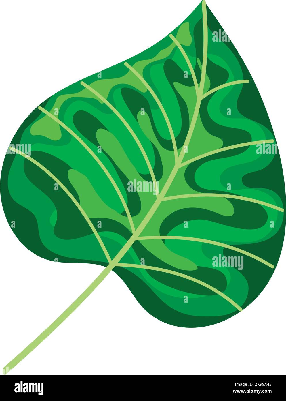 green leaf plant foliage Stock Vector Image & Art - Alamy