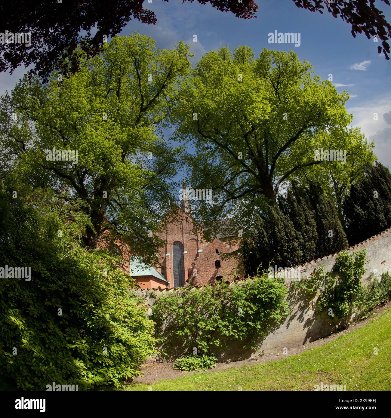 Roskilde Cathedral in Denmark A Gothic cathedral built of brick in the ...
