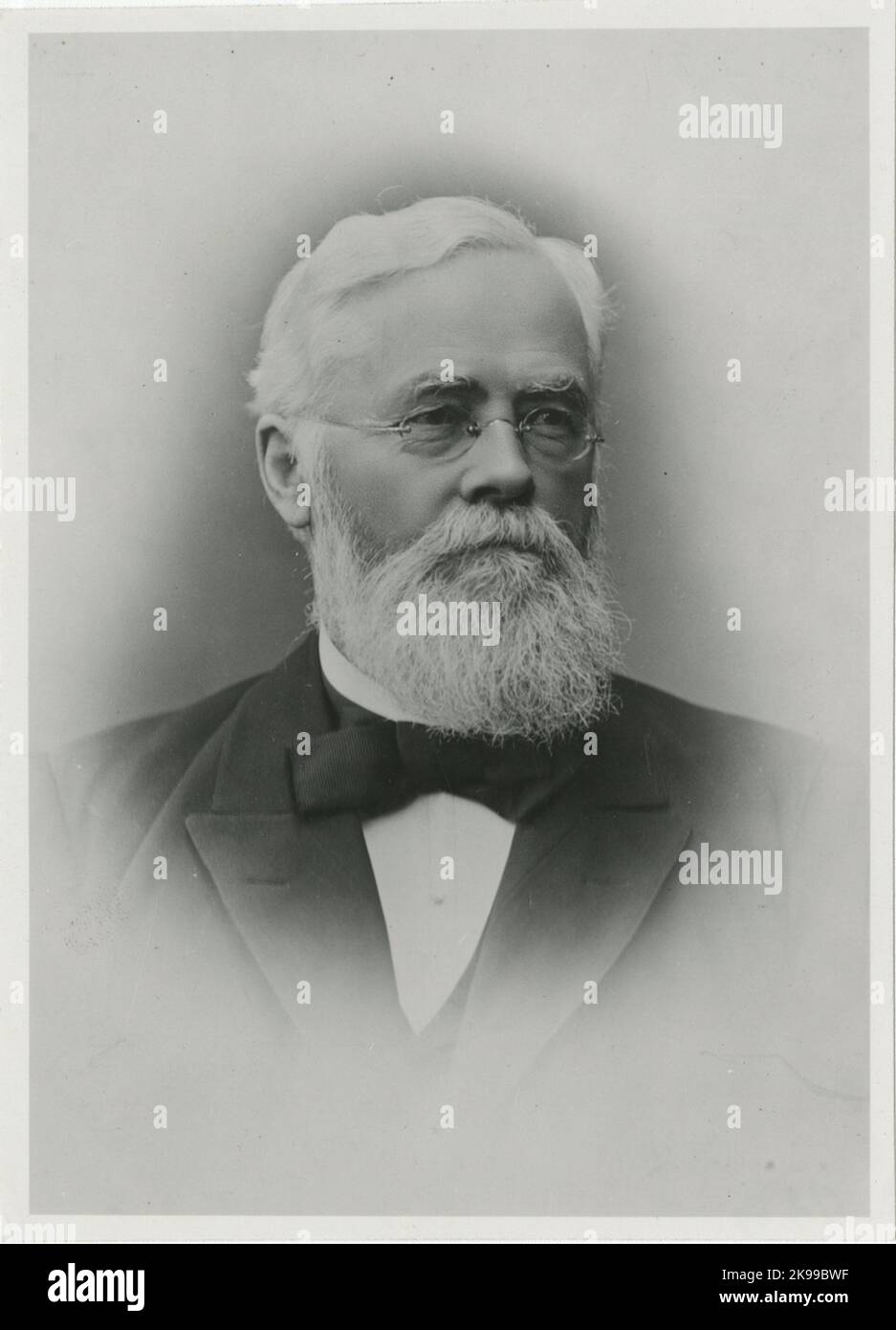 Bank Director C. F. Sundberg Gällivarebanan's curator Stock Photo - Alamy