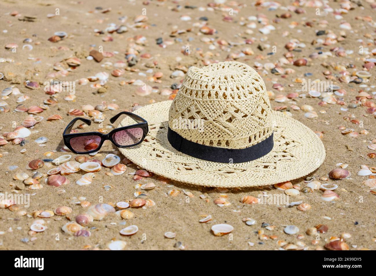 Stylish hat with sunglasses and seashells on sand Stock Photo - Alamy