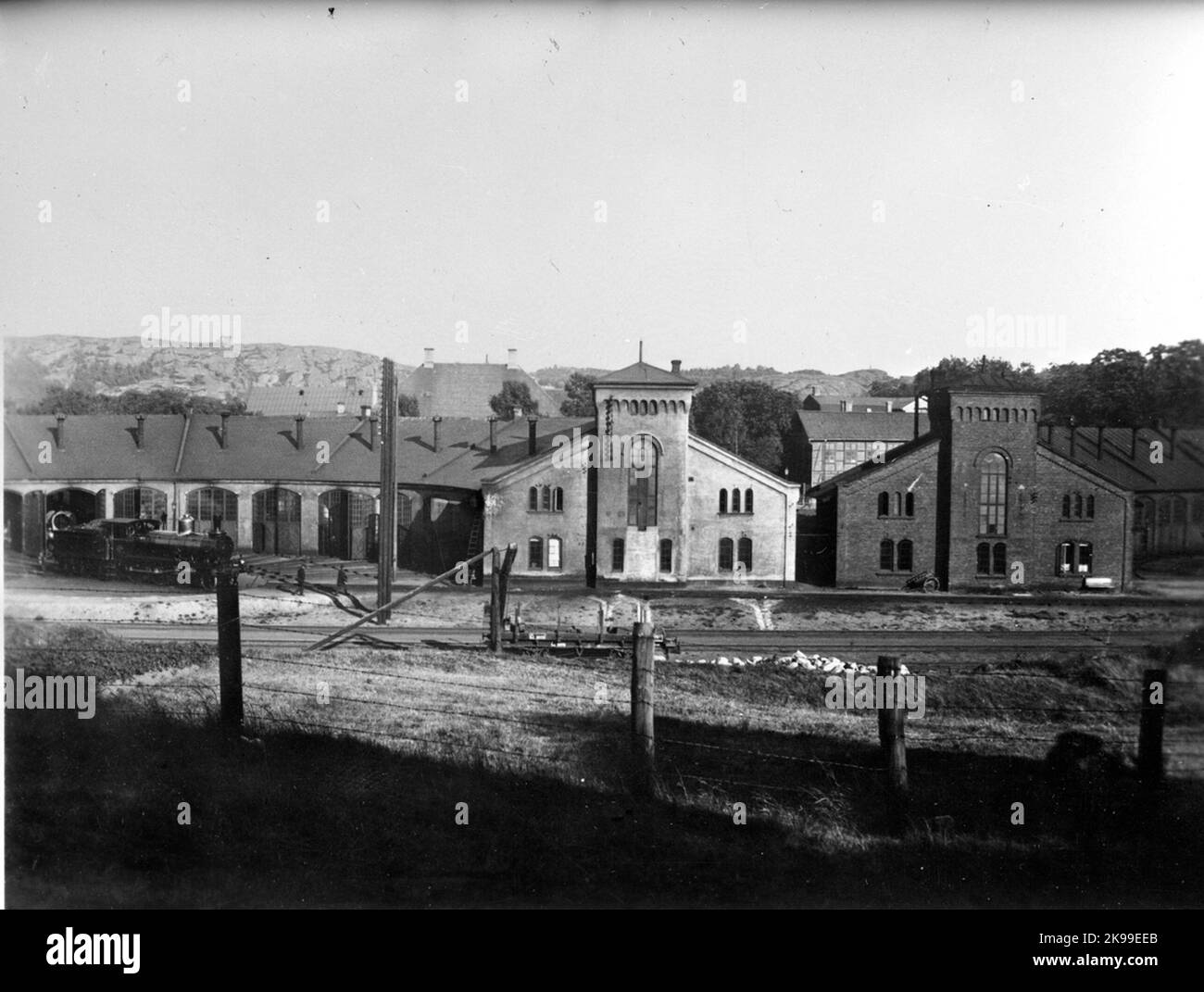 Lionet hi-res stock photography and images - Alamy