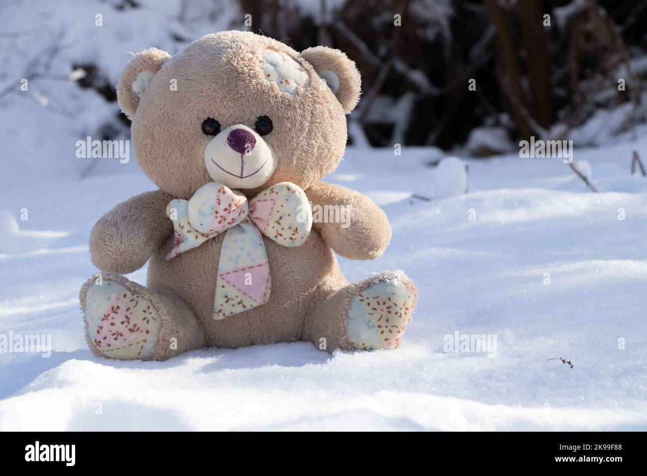 teddy bear lies in the snow on a sunny winter Stock Photo - Alamy
