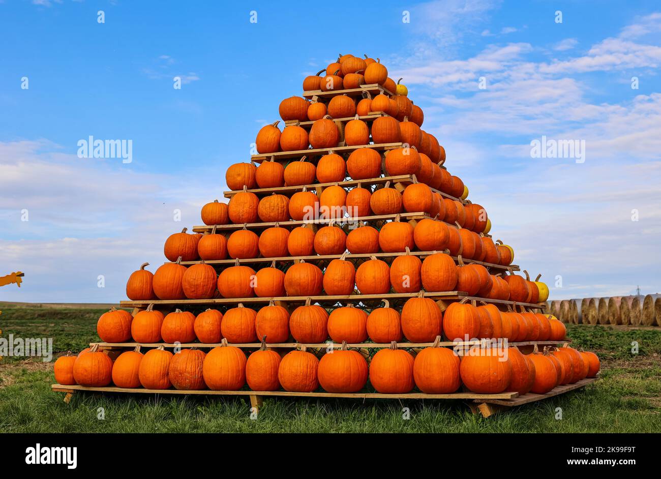 Pyramid pumpkins hi-res stock photography and images - Alamy