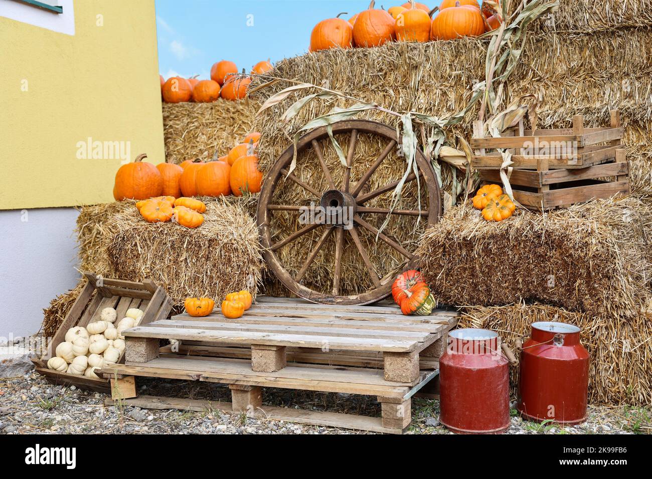 Vegetable color wheel hi-res stock photography and images - Alamy