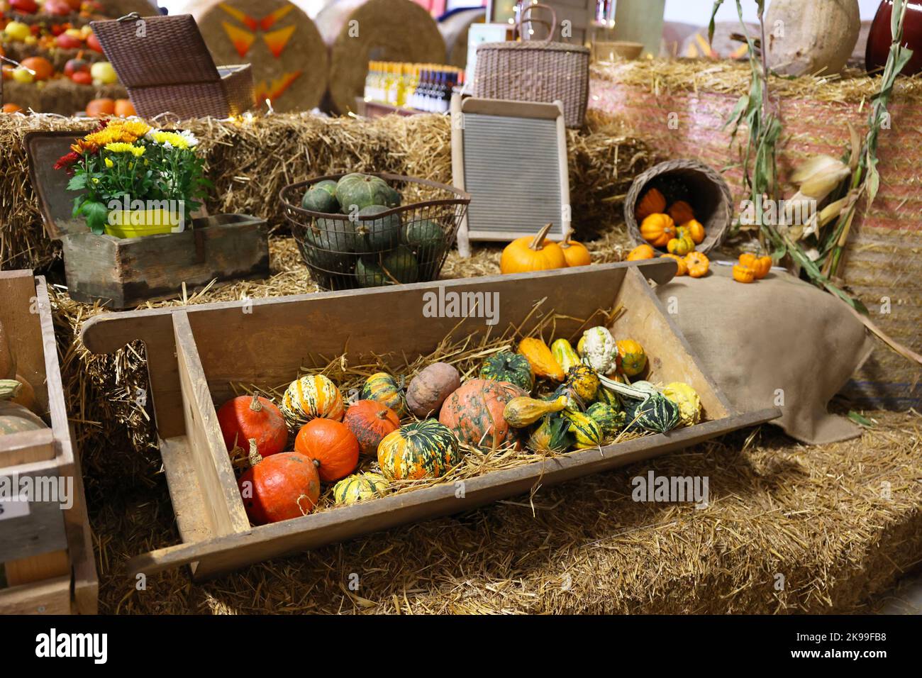 Stand with fresh pumpkins in barn Stock Photo - Alamy