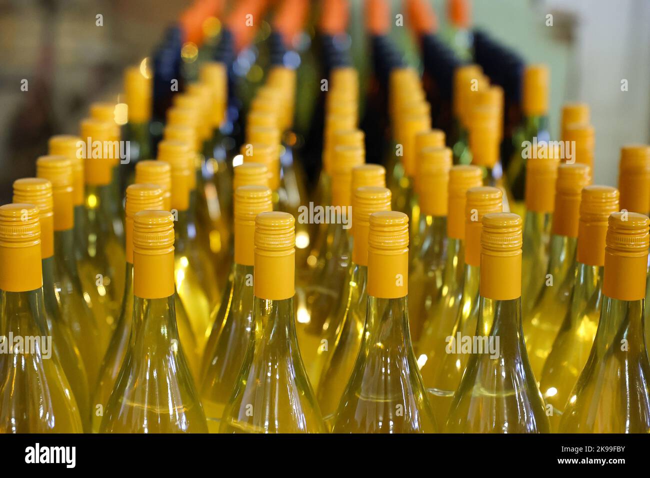 Bottles of champagne at farm, closeup Stock Photo - Alamy