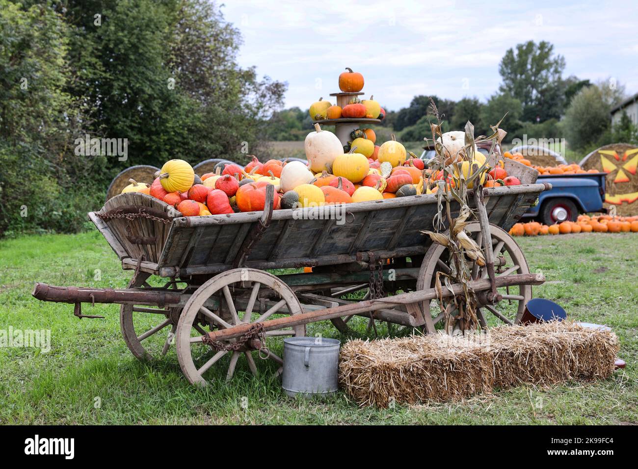 Old trolley with fresh pumpkins at farm Stock Photo - Alamy