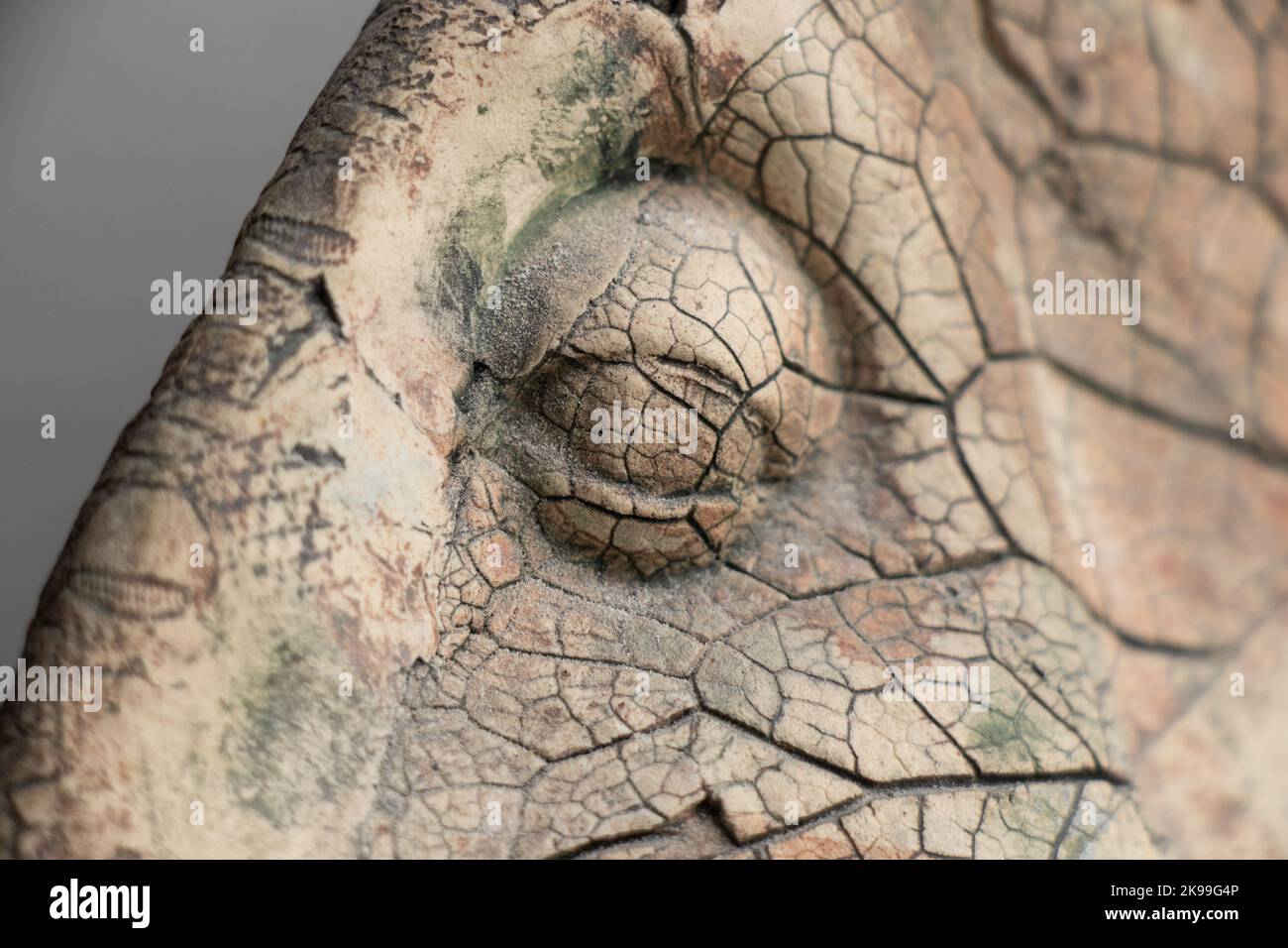 Fish eye symbol hi-res stock photography and images - Alamy