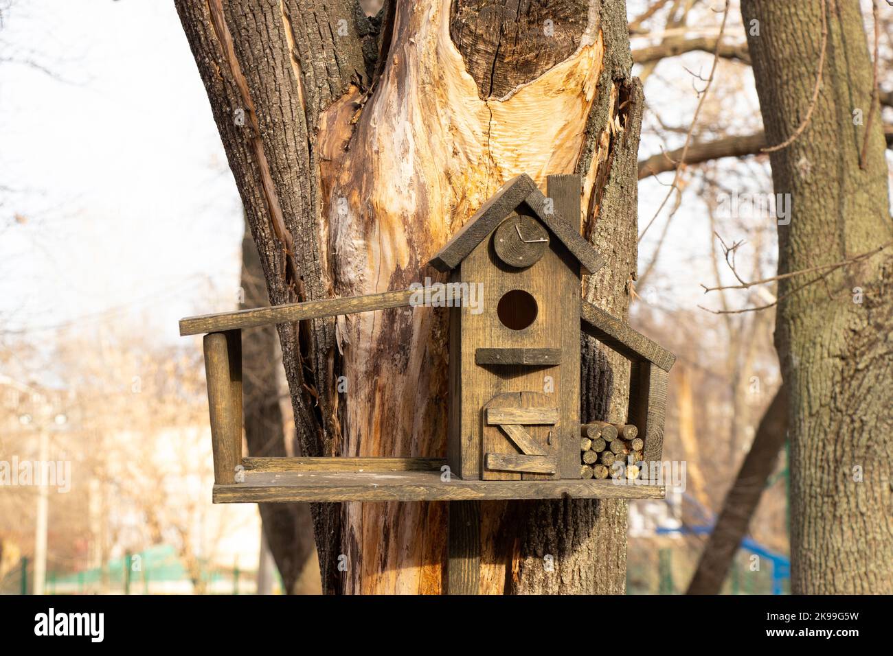 Bird nest wallpaper hi-res stock photography and images - Alamy
