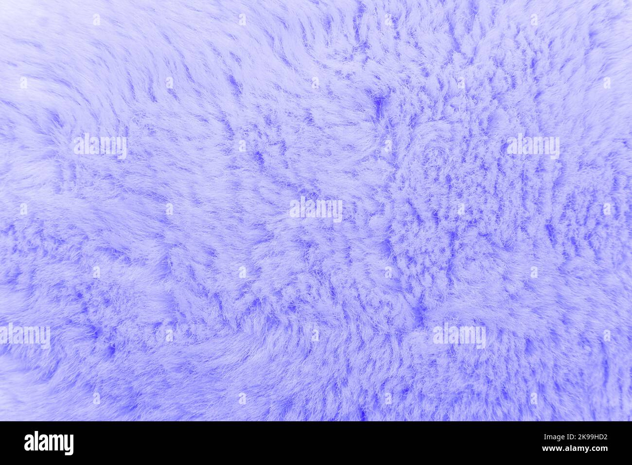 Very peri color sheep fur. Natural sheepskin rug background. Wool ...